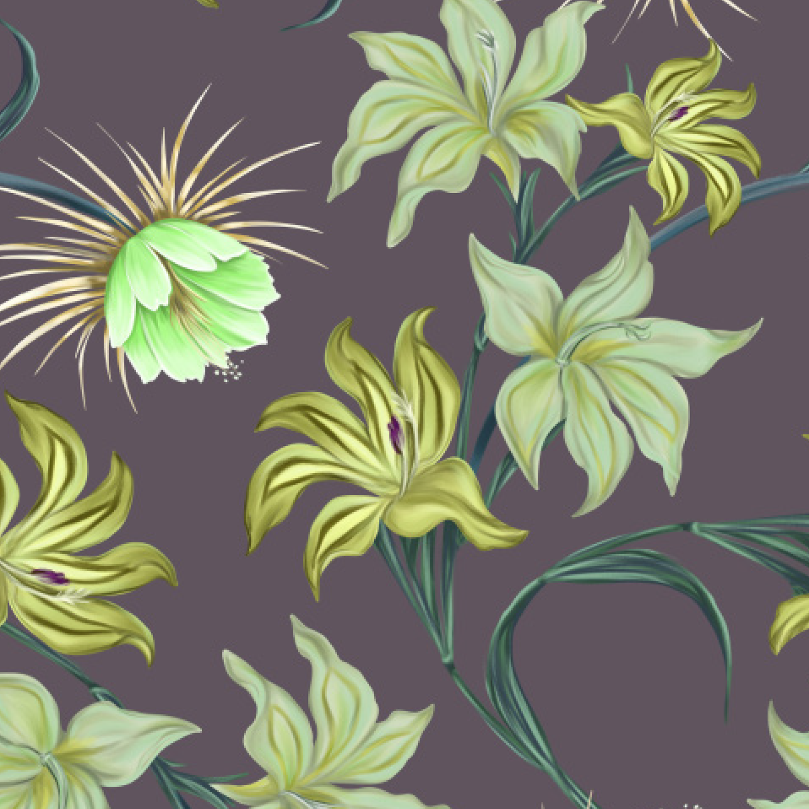 KIDS CECE FULL PIECE - RESORT 2025